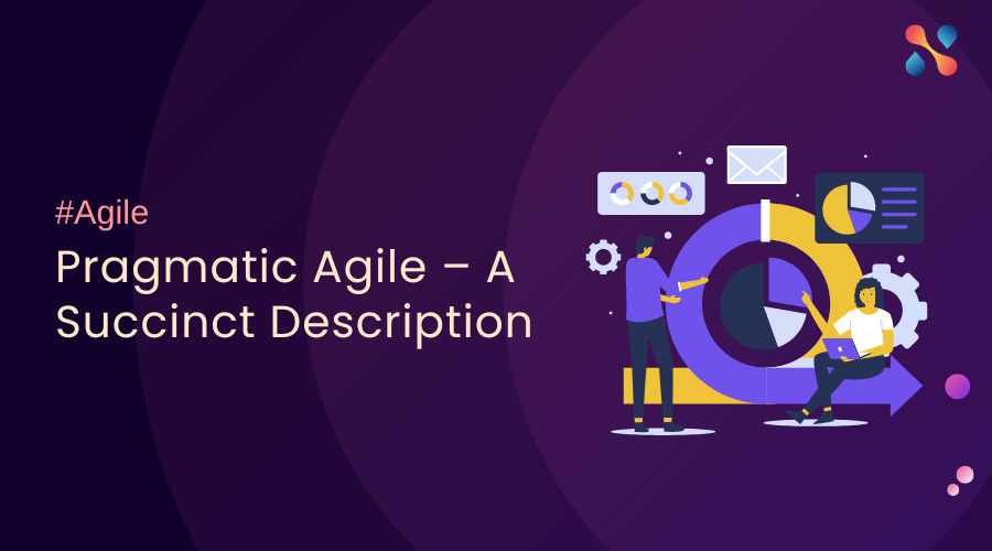 What Is Pragmatic Agile? A Succinct Description
