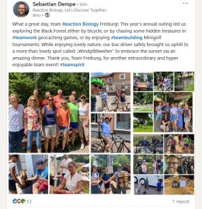 11 Critical Thinking Team Building Activities That Work